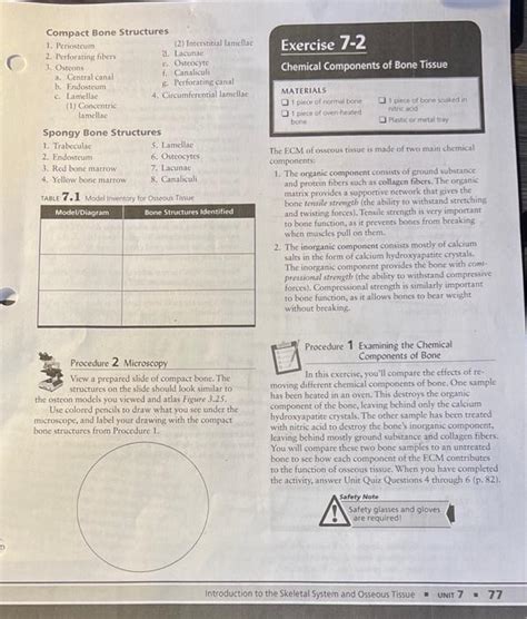 Compact Bone Structures 1 Periosteum 2 Perforating