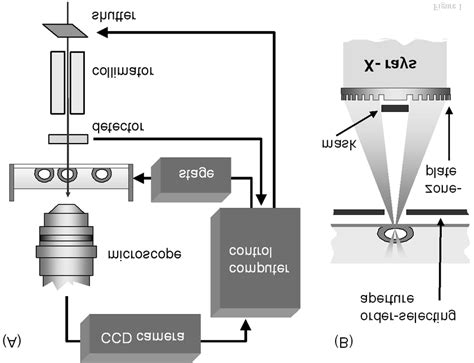 Schematic Diagram Of A The Charged Particle Microbeam And B The
