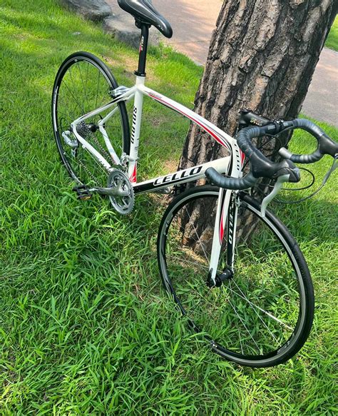 로드 자전거 로드바이크 당근 중고거래