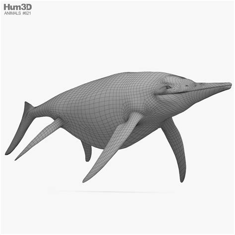 Shonisaurus 3d Model Download Dinosaur On