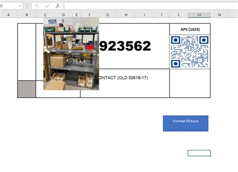 Excel Image Not Formatting Properly With Vba Rexcel