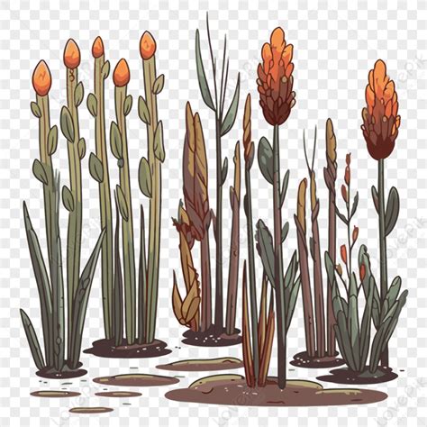 Cattails 클립 아트는 식물원 벡터 일러스트 만화의 사막에서 식물 생활을 식물창작 예술유기체 Png 일러스트 무료