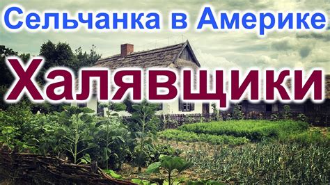 Сельчанка в Америке Халявщики Youtube