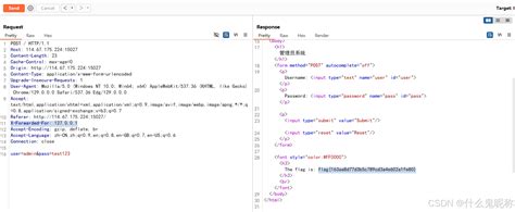 ctf bugku 本地管理员 ctf 本地管理员 CSDN博客