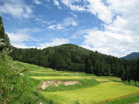 北五百川の棚田（新潟県） 【ロケ地 検索】全国ロケーションデータベース
