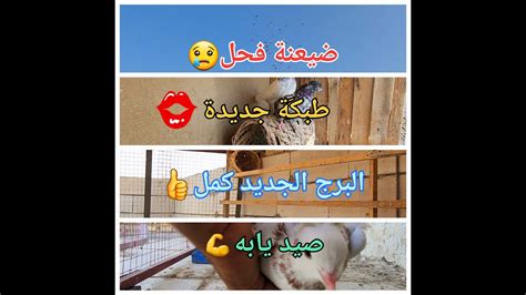 صيد💪كملت البرج الجديد ️طبكَة جديدة 👄ضيعنه فحل😢ومطيار وتفاصيل هواي😁تابع