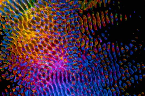 คลังภาพถ่ายฟรีของ กระเพื่อม การเคลื่อนไหว ของเหลว คลื่น คลื่นความถี่ ความคมชัด ความคิด