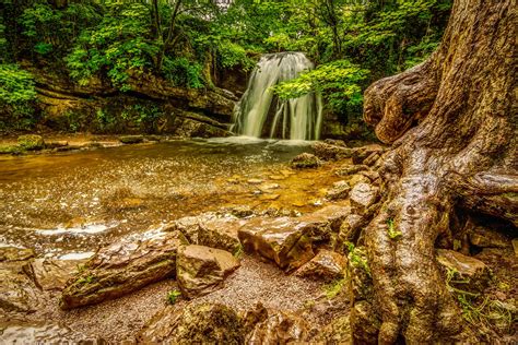 Free Picture Waterfall Nature Landscape Stream Leaf Wood Tree Water