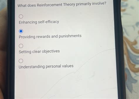 What Does Reinforcement Theory Primarily StudyX