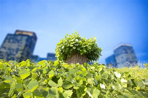 Navigating Scope 3 Emissions Challenges And Opportunities