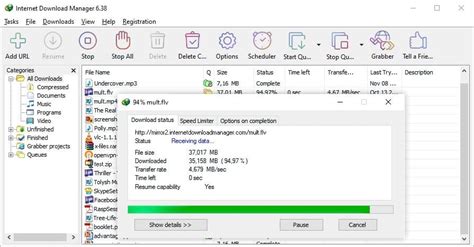 how to download ts file with idm hollyland