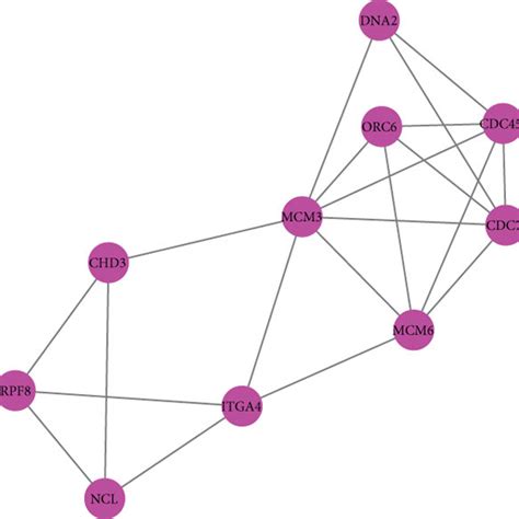 The Protein Protein Interaction Ppi Network Analysis A Ppi Network