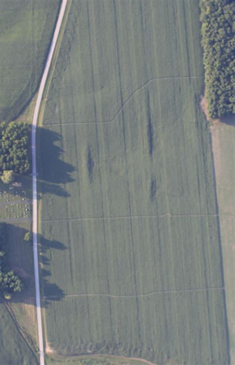Corn Response To Starter Fertilizer