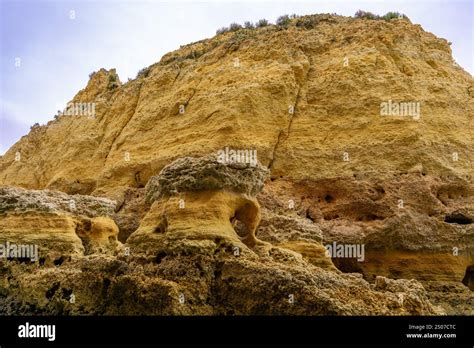 Weathered Golden Rock Formations With Intricate Textures And Natural Erosion Patterns Features