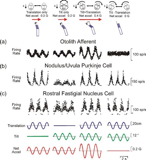 Figure From Multimodal Integration Resolving Sensory Ambiguities To
