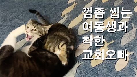 껌 좀 씹는 여동생과 범생이 오빠의 하루 Youtube