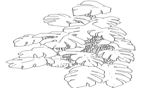 Blocks Of Trees Dwg File Cadbull