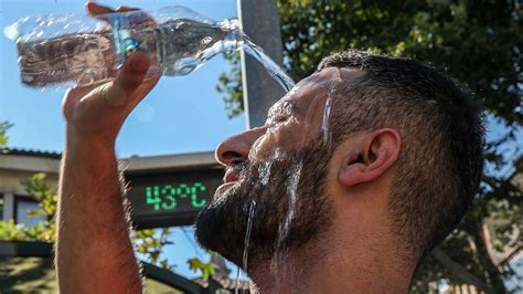 El mito de que el colapso ecológico es inevitable es un error 24horas