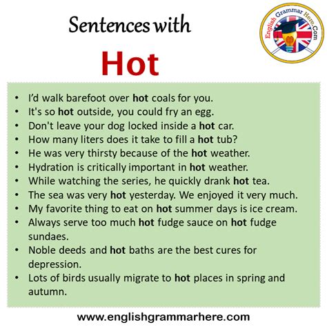 Sentences With Hot Hot In A Sentence In English Sentences For Hot