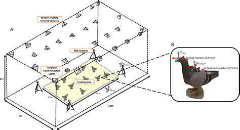Figure 2 From 3d Pop An Automated Annotation Approach To Facilitate Markerless 2d 3d Tracking