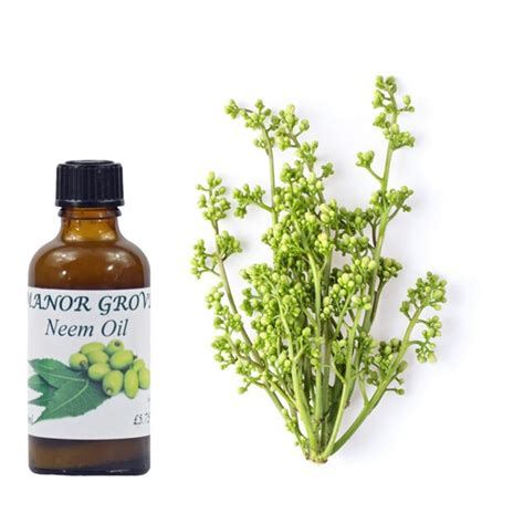 Neem Oil Manor Grove Oils