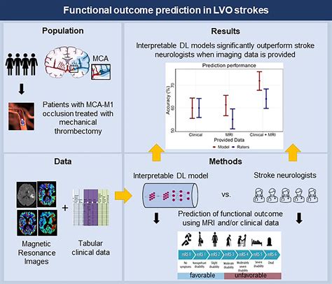 Deep Learning Versus Neurologists Functional Outcome Prediction In Lvo Stroke Patients