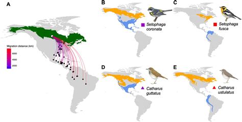 Seasonal Migration