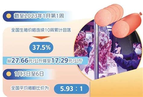 春节消费旺季临近，猪价却降了，咋回事？生猪期货价格预警