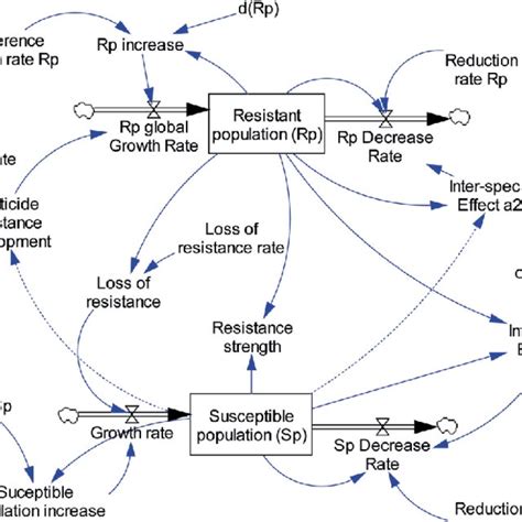 Stock And Flow Diagram Of Susceptible And Resistant Insect Pest Download Scientific Diagram