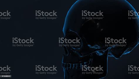 어두운 배경으로 인간 해골입니다 죽음 공포 해부학과 할로윈 기호입니다 3d 렌더링입니다 3 차원 일러스트 레이 션 건강관리와