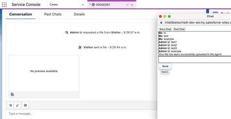 Liveagentclientchatfiletransfer In Salesforce Custom Chat Page