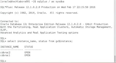 Installing Oracle Linux 7 And Oracle Rac On Vsphere 6 Lab Electric Monk
