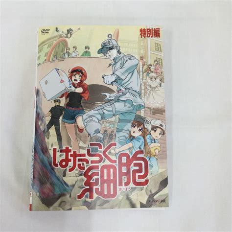 はたらく細胞 特別編 レンタル落ち Dvd 中古品 ケースなし ジャケット付き メルカリ