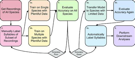 Flowchart Describing The Procedure From Acquiring Song Recordings To