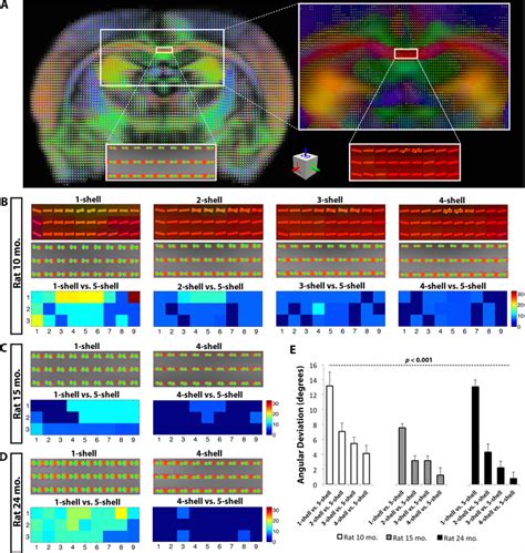 Angular Deviation Computed Between ODF Based 1 Shell 2 Shell 3 Shell Download Scientific