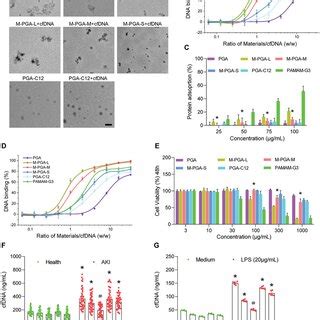 A Serum Levels Of CfDNA In Healthy Volunteers N 47 And AKI Download Scientific Diagram