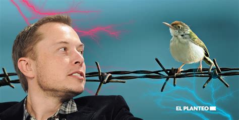 Redes Sociales Elon Musk Asume El Cargo De Ceo De Twitter El Planteo