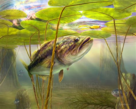 Largemouth Bass Artofit