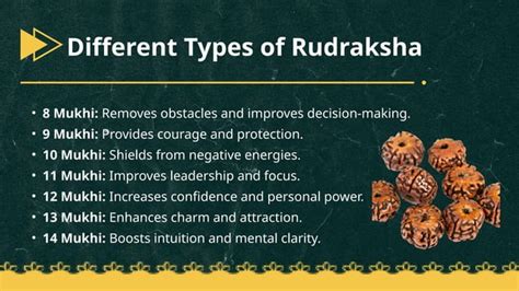 Rudraksha A Guide To Its Types Benefits And Spiritual Significance Ppt