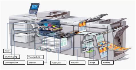 Guide On Digital Printing Its Types Advantages And Process