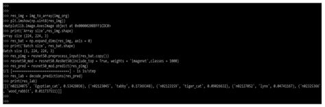 keras resnet50 image file handling and transfer learning