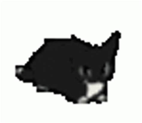 Maxwell Cat Sticker Maxwell Cat The Discover Share Gifs