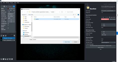 Quality Assurance Of Segmentation Results Focalplane