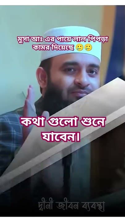 Azhari Shortvideo Foryou Waz Nature Islamicshortvideo
