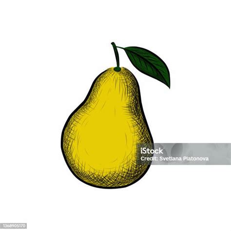 Buah Pir Dengan Daun Dengan Latar Belakang Putih Ilustrasi Stok Unduh