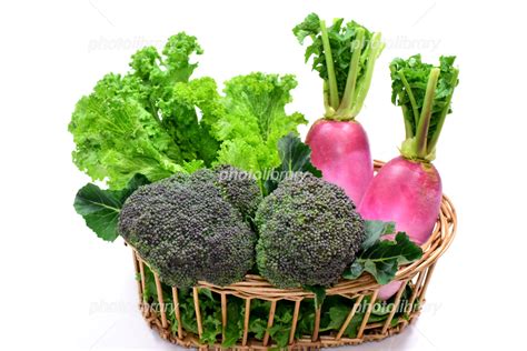 新鮮野菜 かご盛り 写真素材 2877021 無料 フォトライブラリー photolibrary