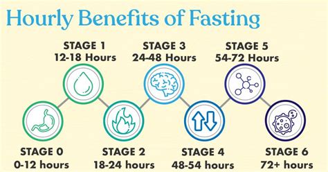 John Collins On Linkedin Metabolic Step By Step Stages Of Fasting In