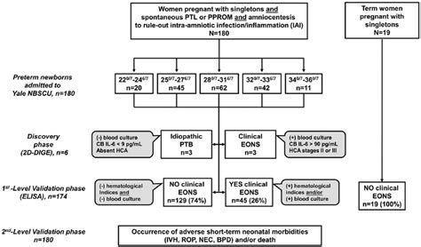 Flowchart Representation Of The Stepwise Study Design And Of The Download Scientific Diagram