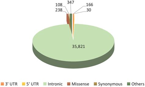 Distribution Frequency Of Snvs In The Lhpp Gene Most Variants Are Download Scientific Diagram