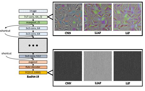 Weight On Es Imagenet After The Wu Epochs The First Convolution Layer